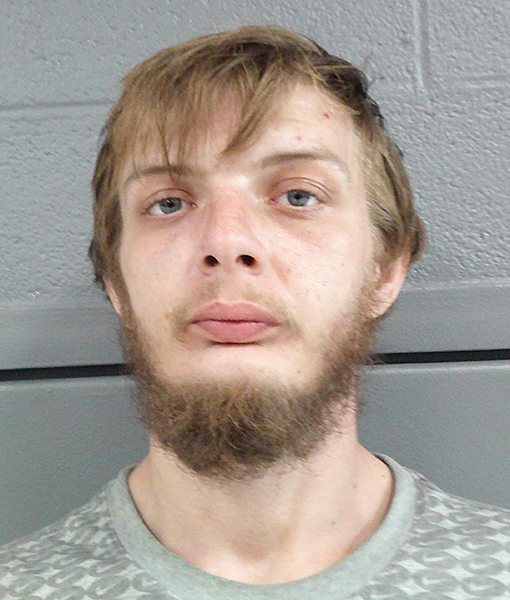 Three individuals arrested in downtown Elkins incident | News, Sports ...